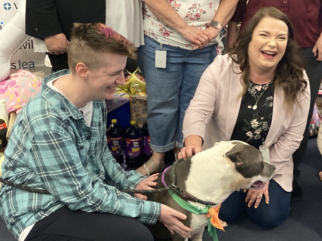 Williams Lea Employees’ Efforts Go to the Dogs — And Cats, Too — at ...